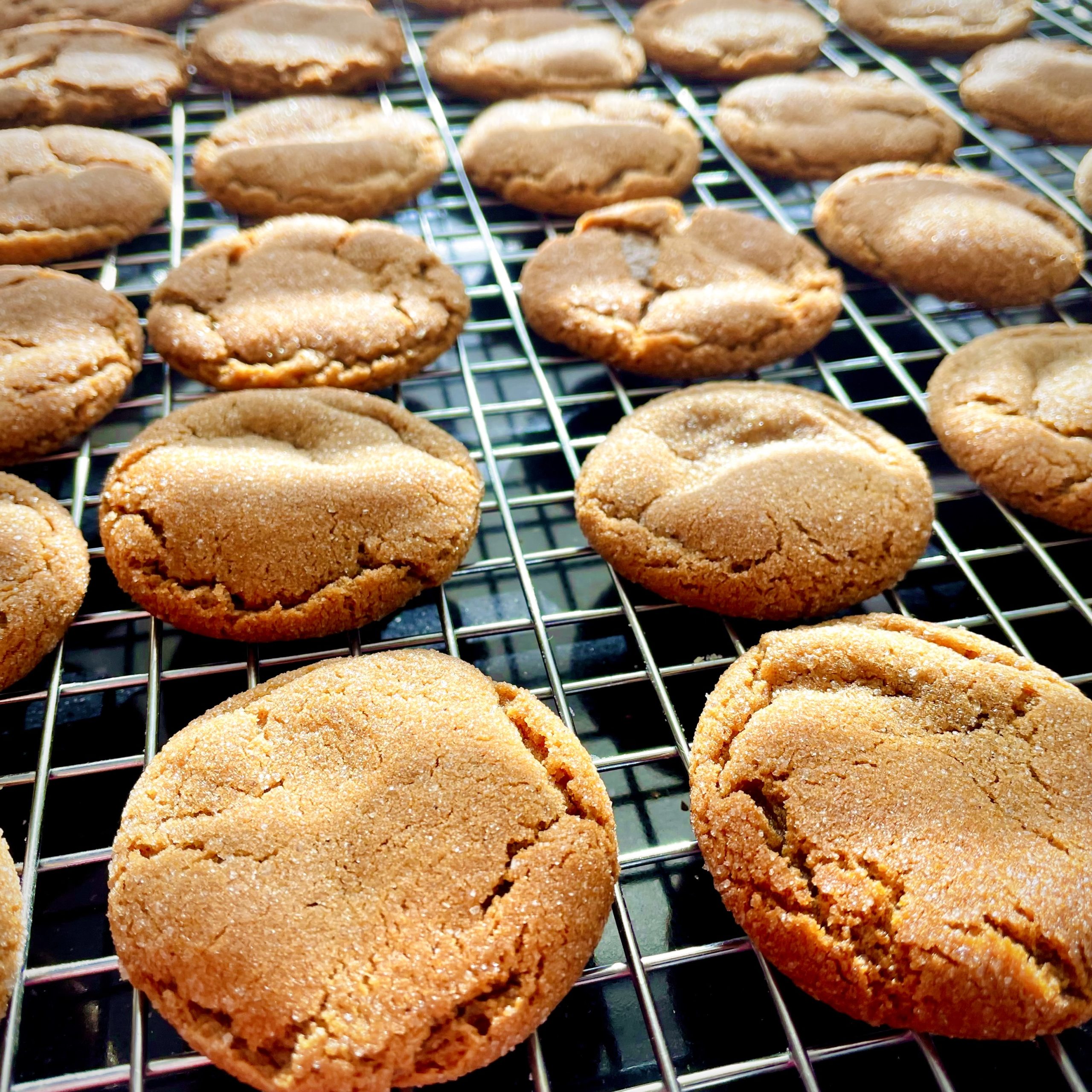 Molasses Cookies